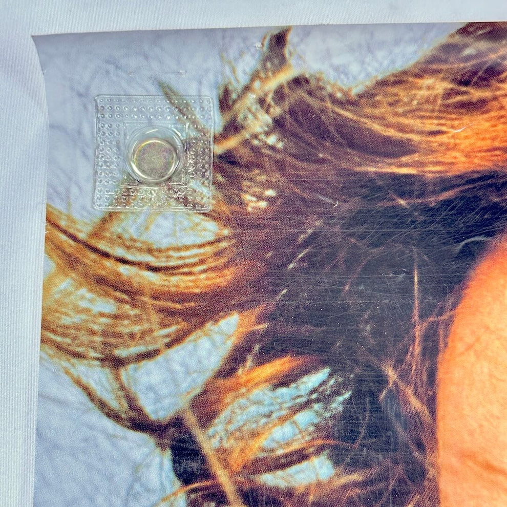 Madonna | 1998 | Record Store Promo Poster | Rockin Rudy's Attic